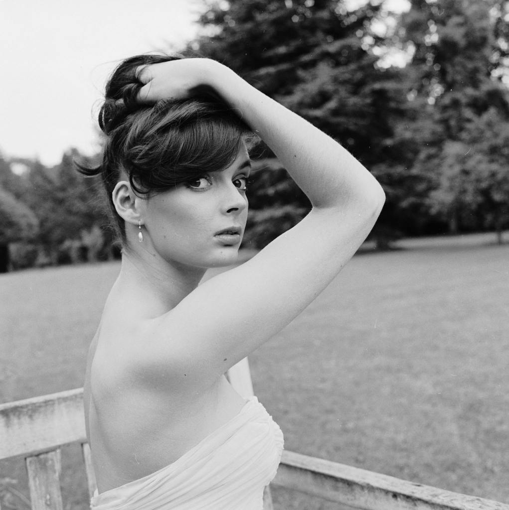 Birthday Girl – THE HOBBLEDEHOY